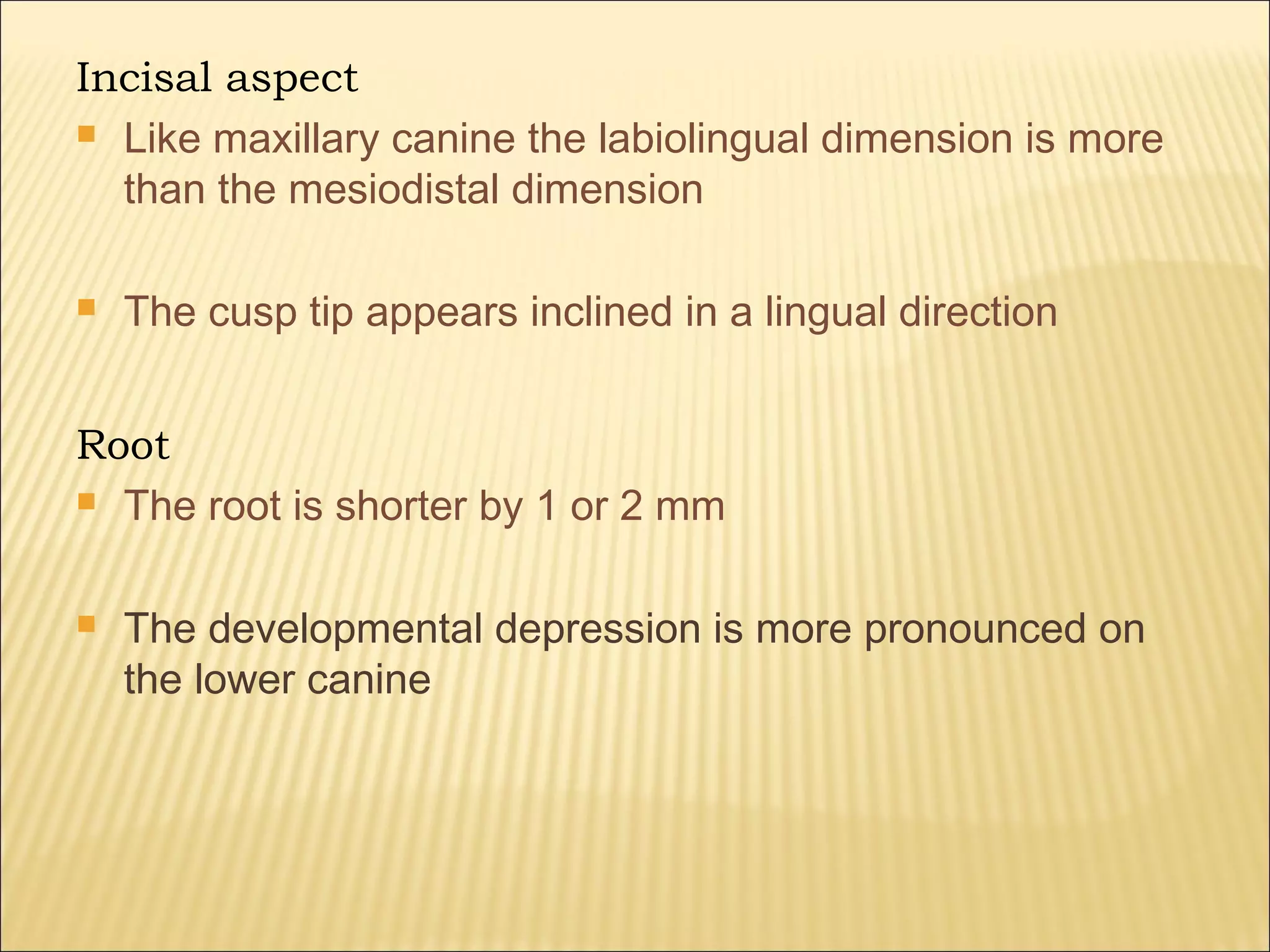 morphology of maxillary & mandibular canine teeth | PPT