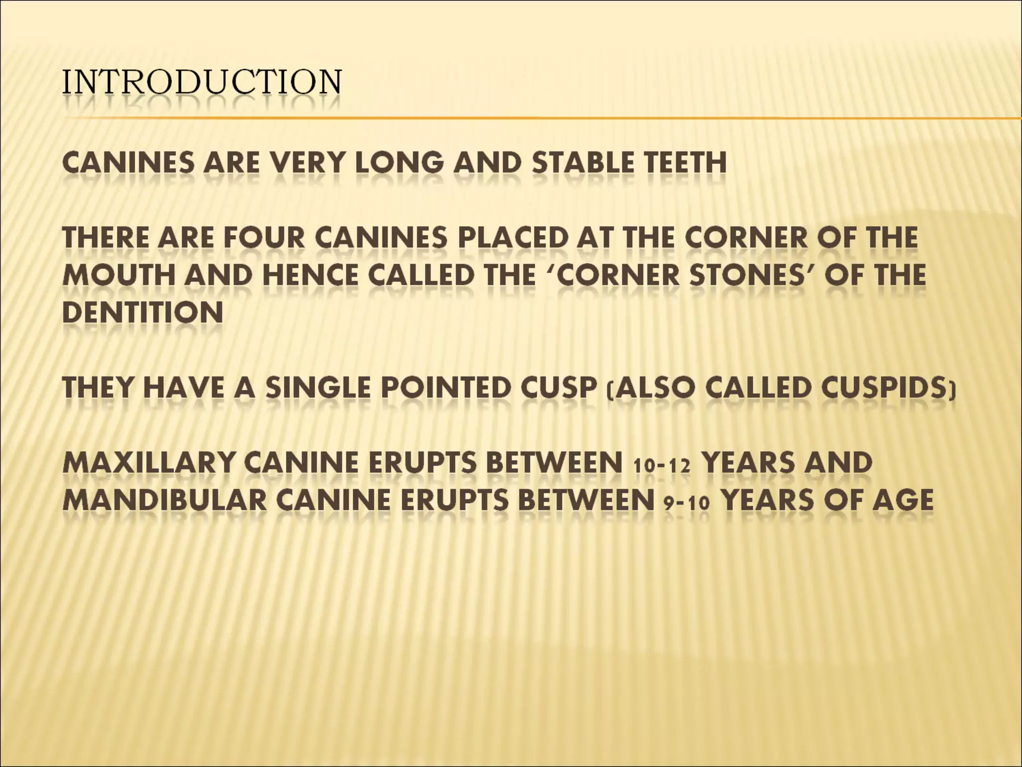 morphology of maxillary & mandibular canine teeth | PPT