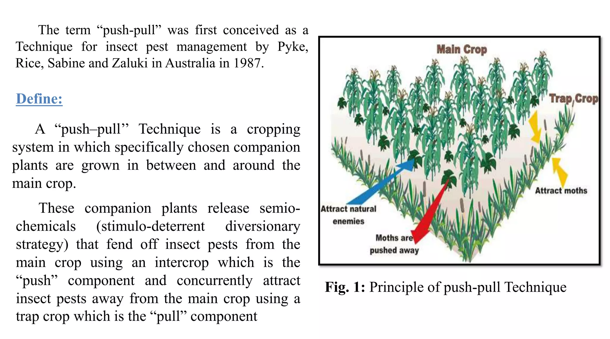 Push Pull Technique In Integrated Pest Management | PPTX