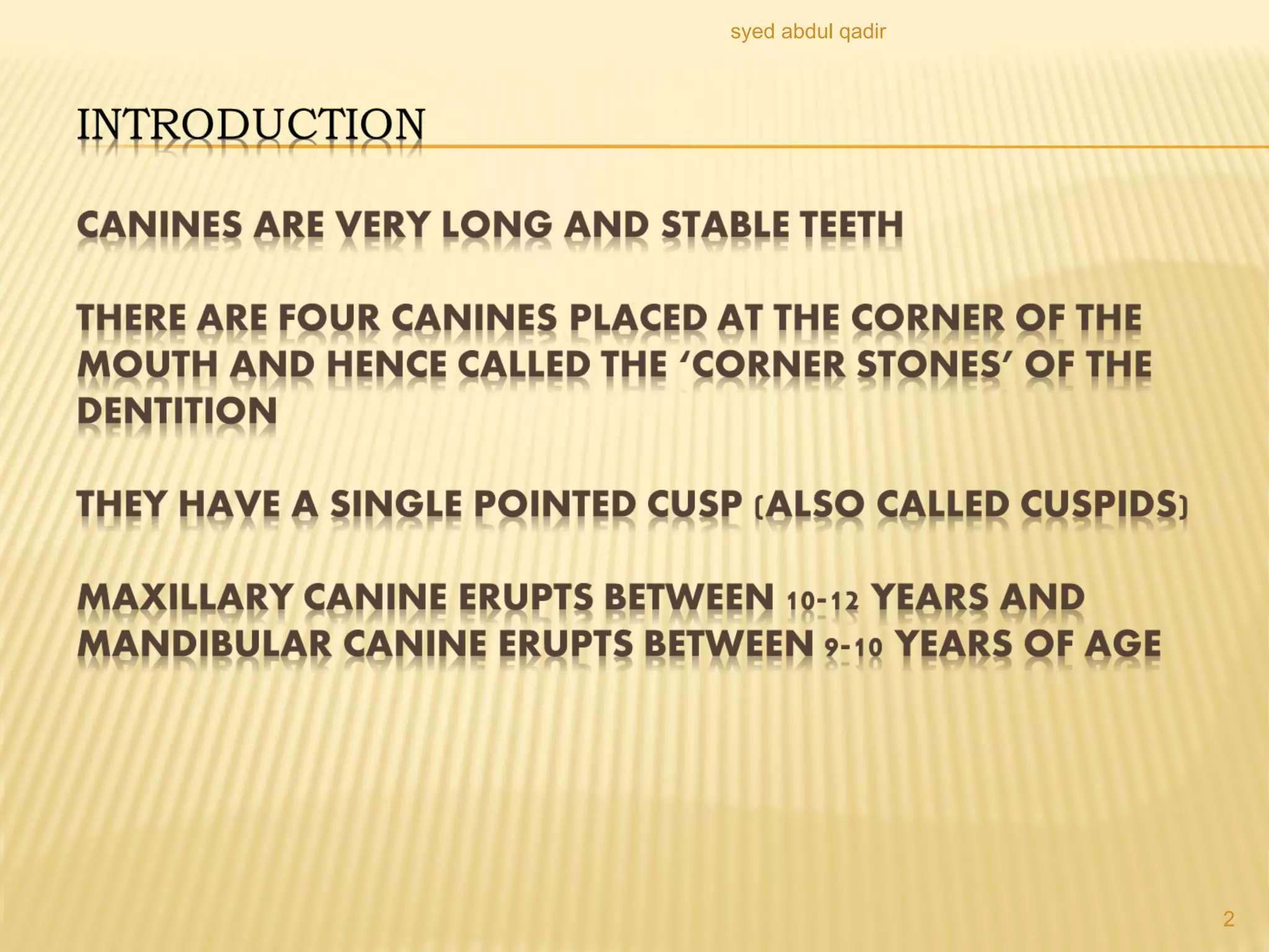 Parmenant maxillary canine | PPT