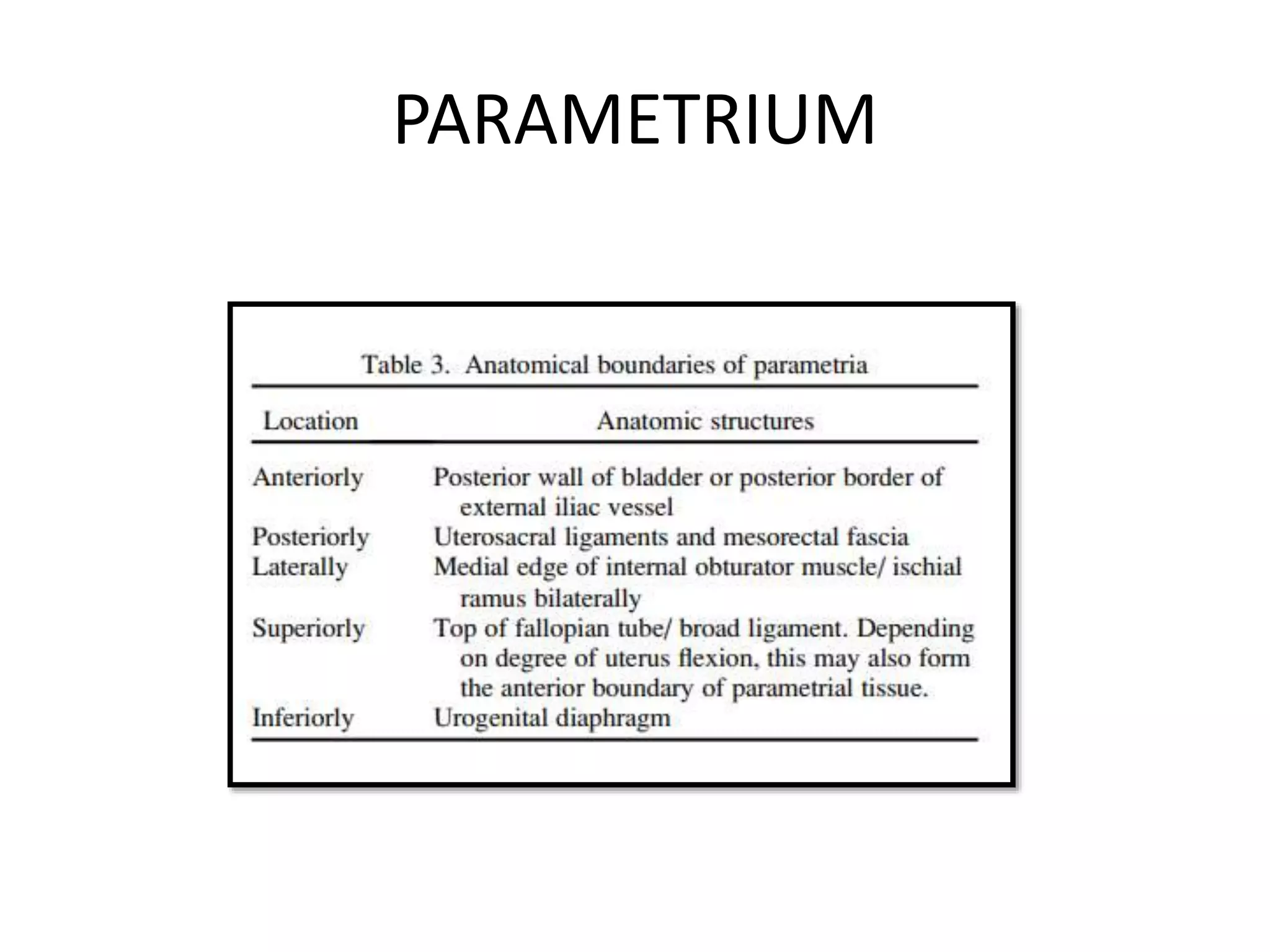 TARGET DELINEATION OF PARAMETRIUM | PPTX