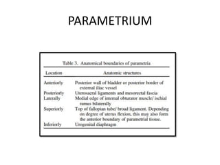 TARGET DELINEATION OF PARAMETRIUM | PPTX