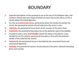 TARGET DELINEATION OF PARAMETRIUM | PPTX