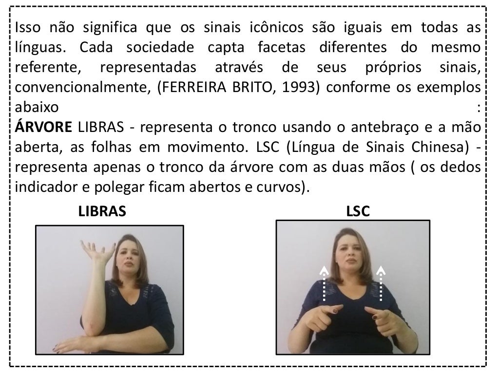 5 Parâmetros da libras