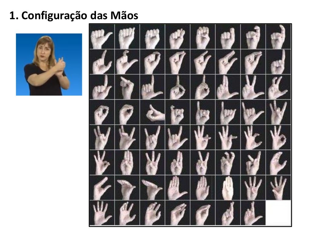 5 Parâmetros da libras