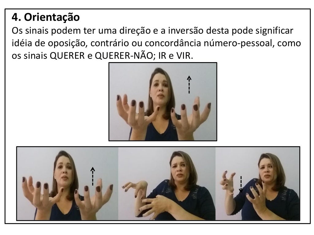 Os 5 Parâmetros Da Libras