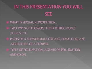Reproduction in plants | PPTX