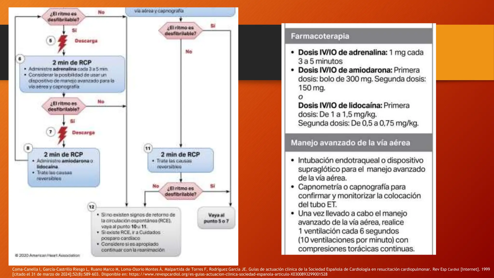 Algoritmo de paro cardiorespiratorio R1MU | PPTX | Lung and Respiratory ...