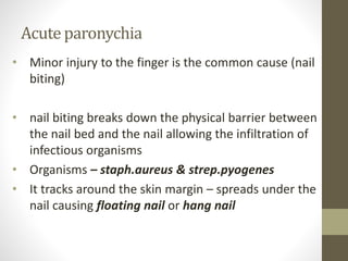 Paronychia | PPT