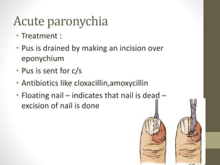 Paronychia Incision And Drainage
