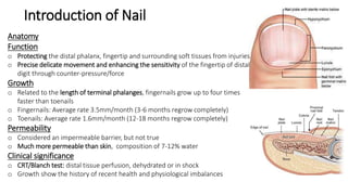 Paronychia (inflammation of skin around the nail) | PPTX