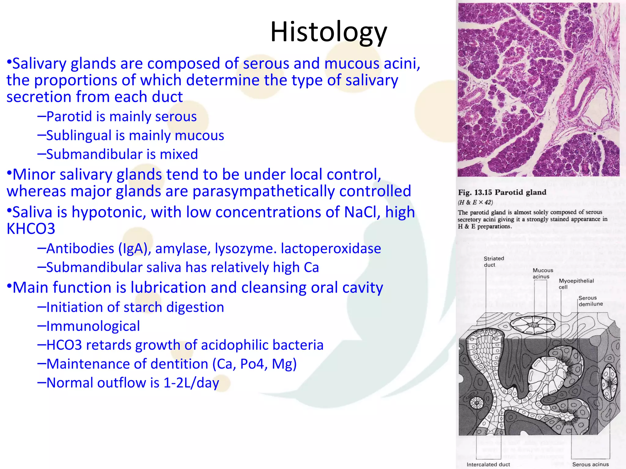 Parotid gland | PPT