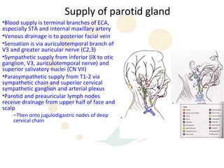 Parotid gland | PPT