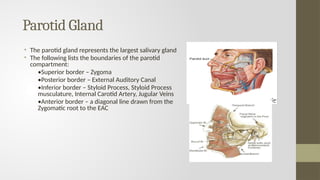 parotid carcinoma in details of parotid CA | PPTX
