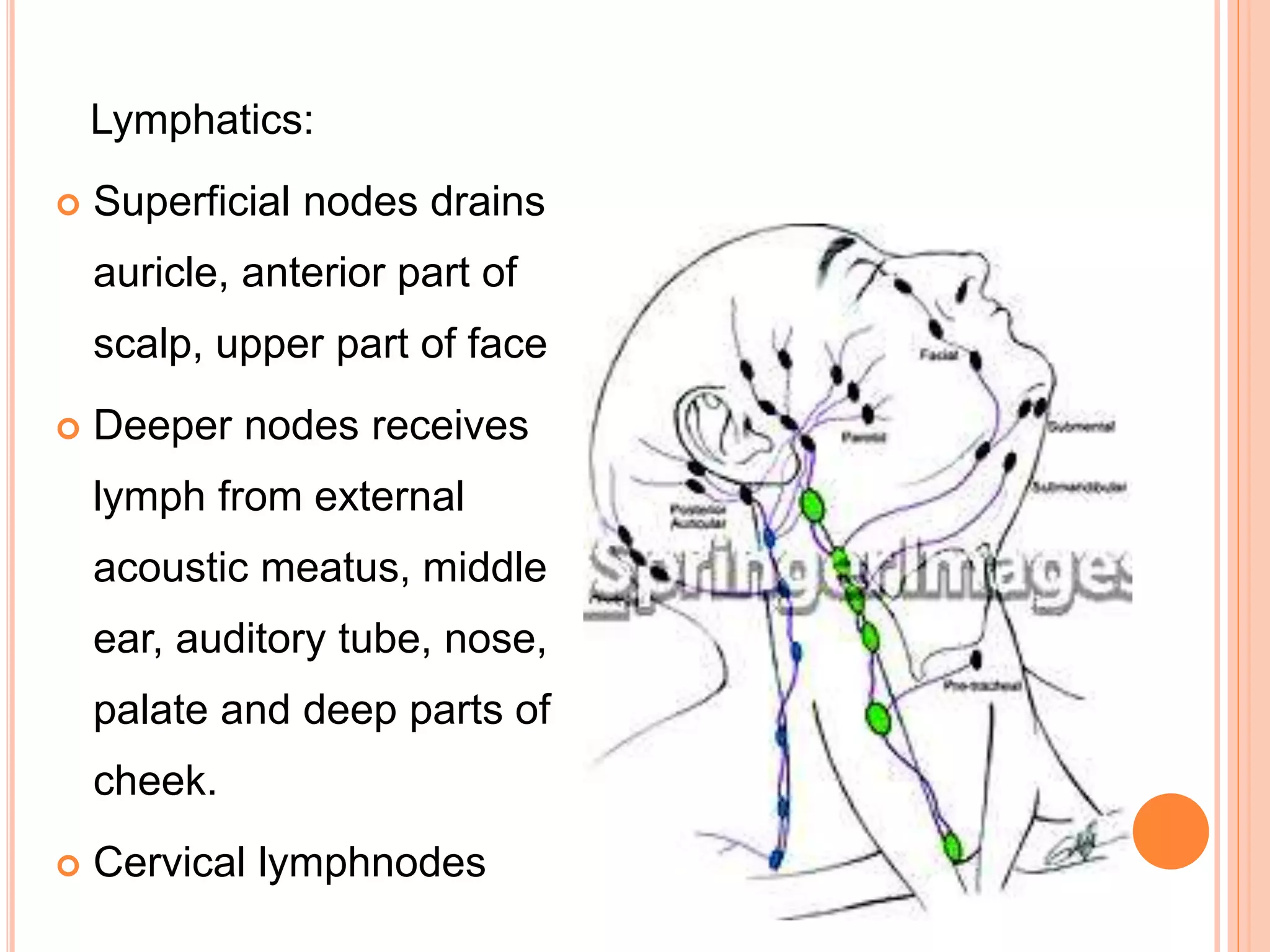 Parotidectomy | PPTX