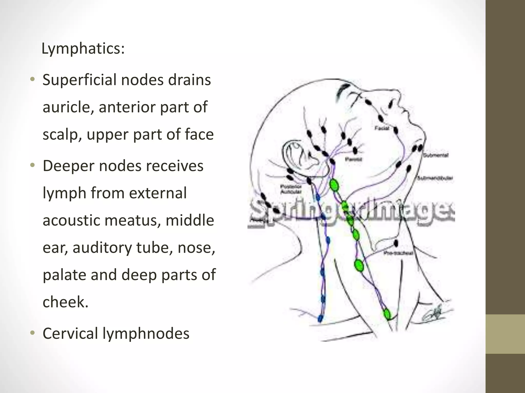 Parotidectomy | PPTX