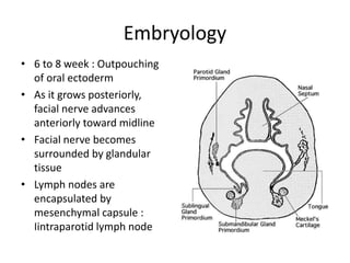 Parotidectomy : Operative Technique | PPTX