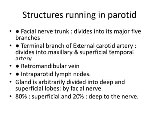 Parotidectomy : Operative Technique | PPTX