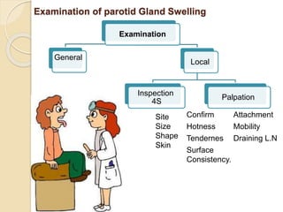 Parotid region swellings | PPTX | Ear, Nose and Throat Conditions ...