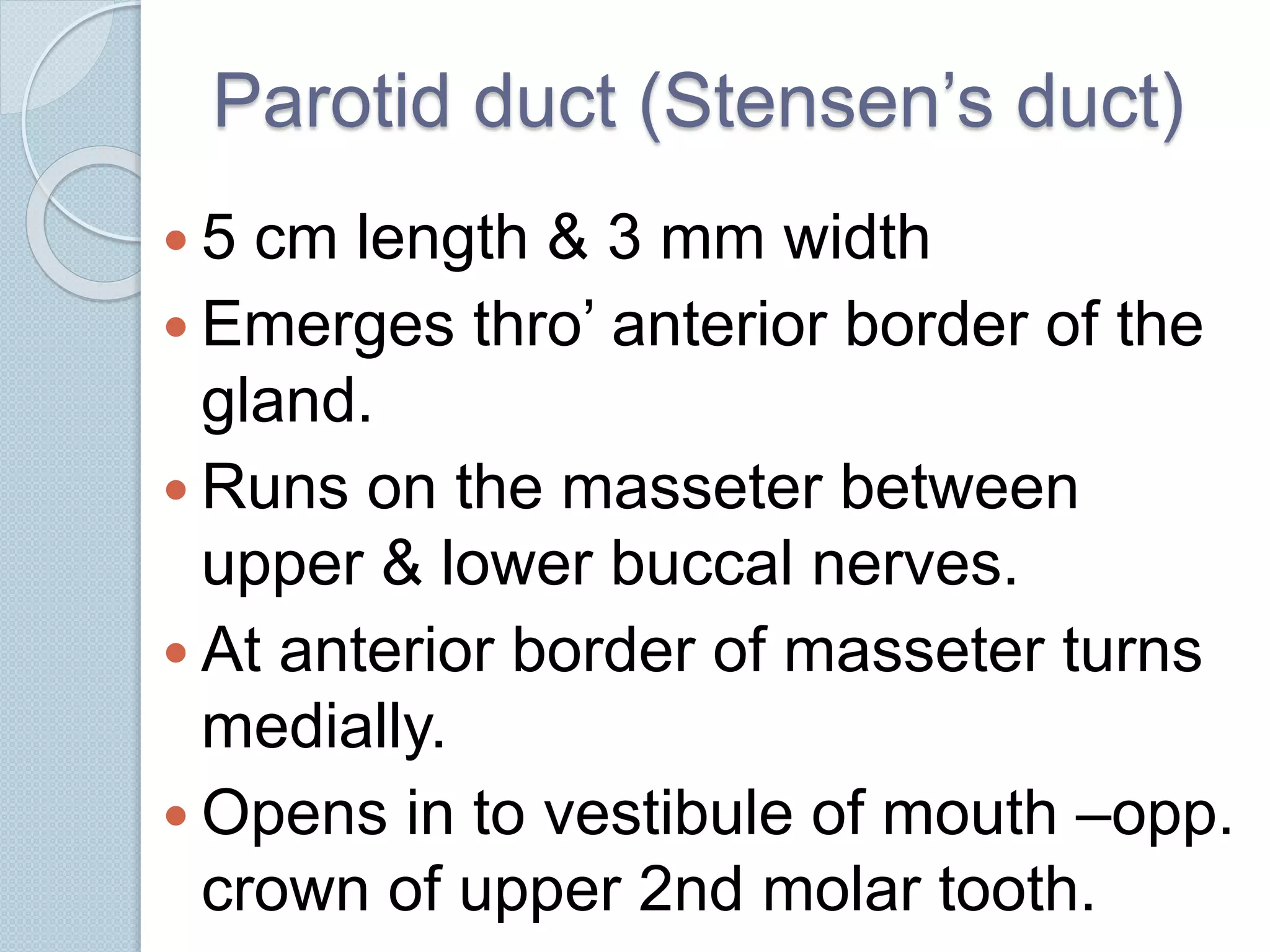 Parotid Gland | PPTX