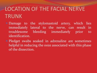 Parotid gland | PPTX