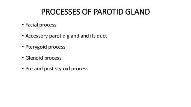 Parotid gland.pptx