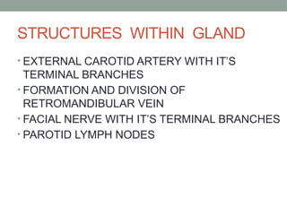 Anotomy Anatomy AnatomyPAROTID GLAND.pptxk | PPTX