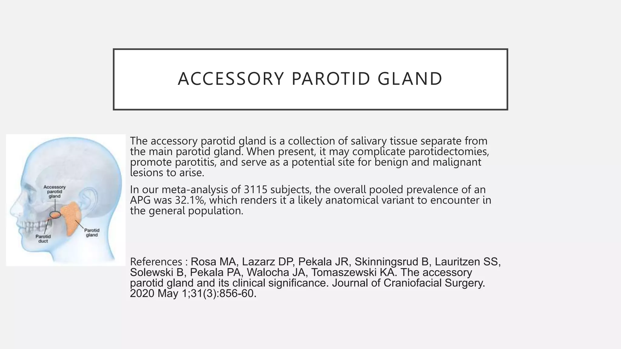 Parotid Gland- Applied anatomy.pptx