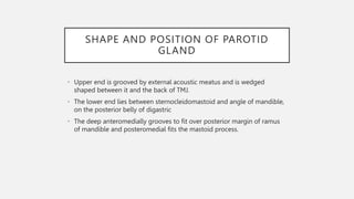 Parotid Gland- Applied anatomy.pptx