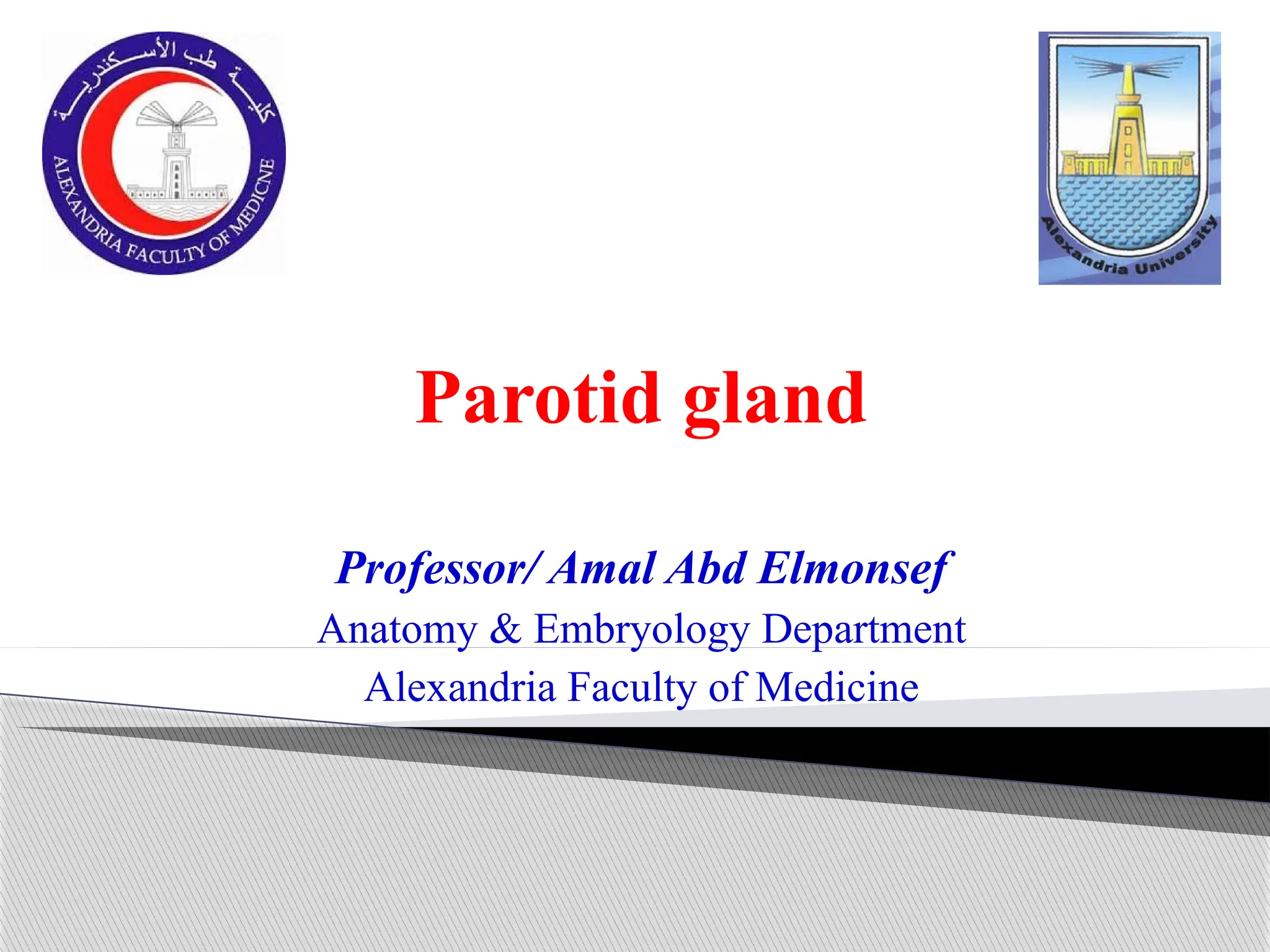 Parotid gland anatomy dental - Copy.pptx