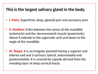 Parotid gland anatomy dental - Copy.pptx