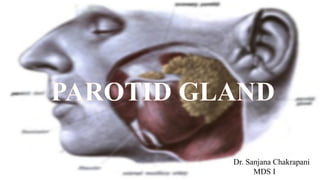 PAROTID GLAND ,its landmarks, salivary pathway | PPTX