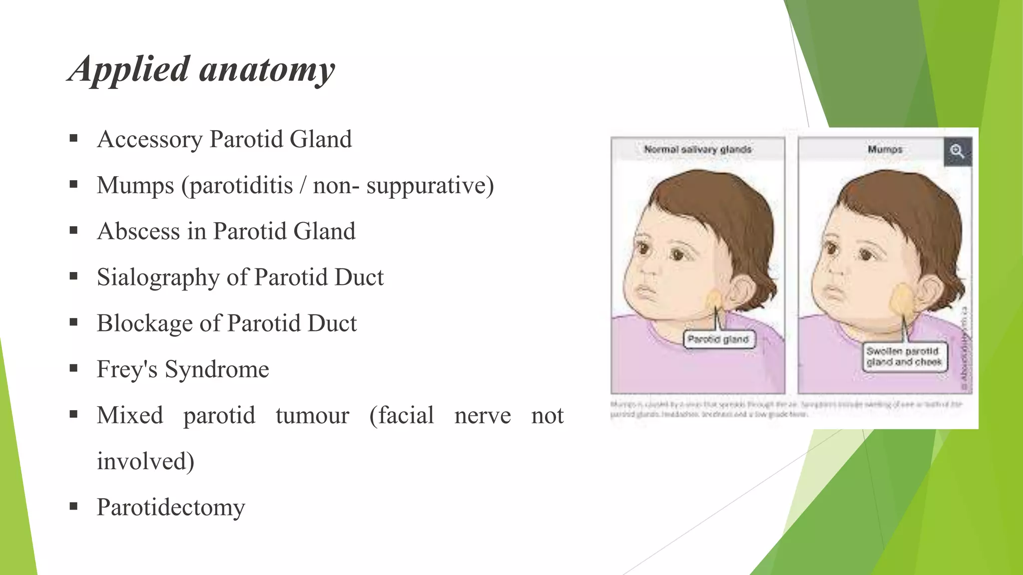Parotid gland | PPTX