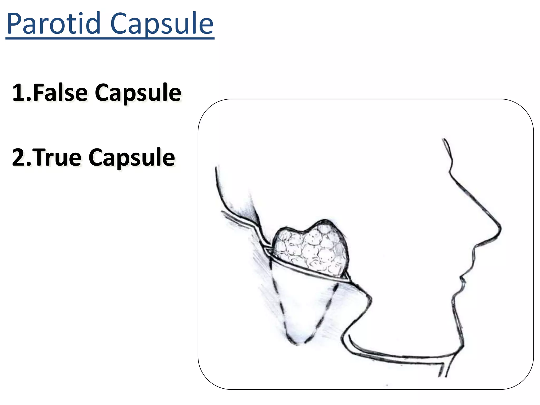 Parotid gland & Facial nerve | PPTX