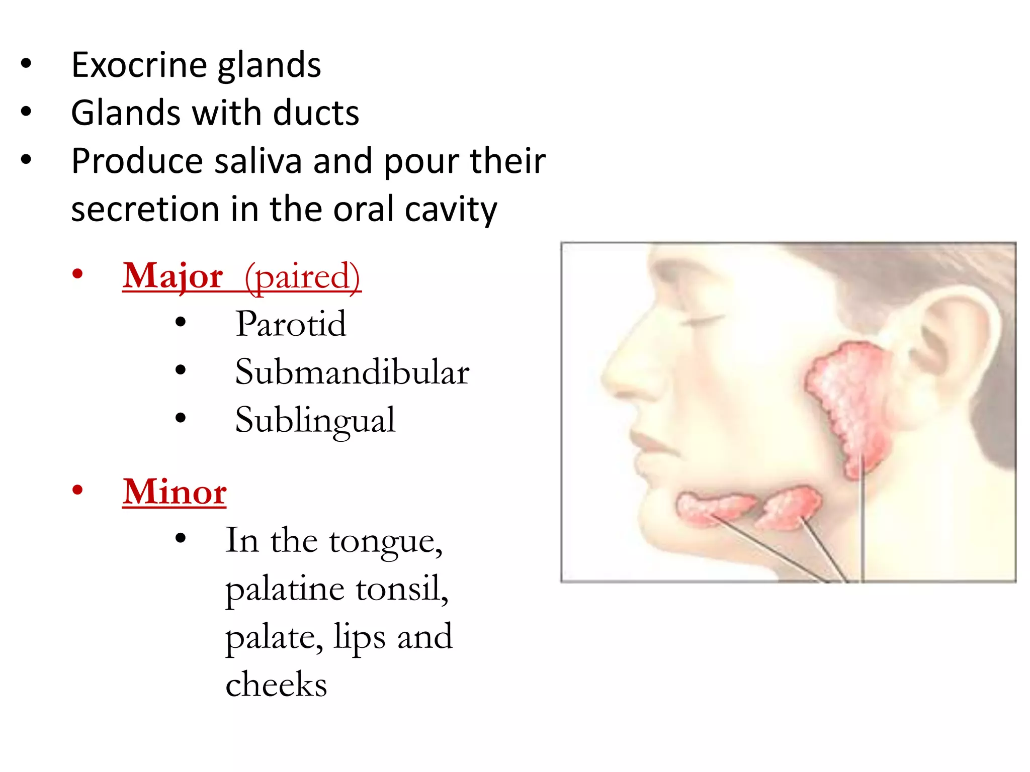 Parotid gland & Facial nerve | PPTX