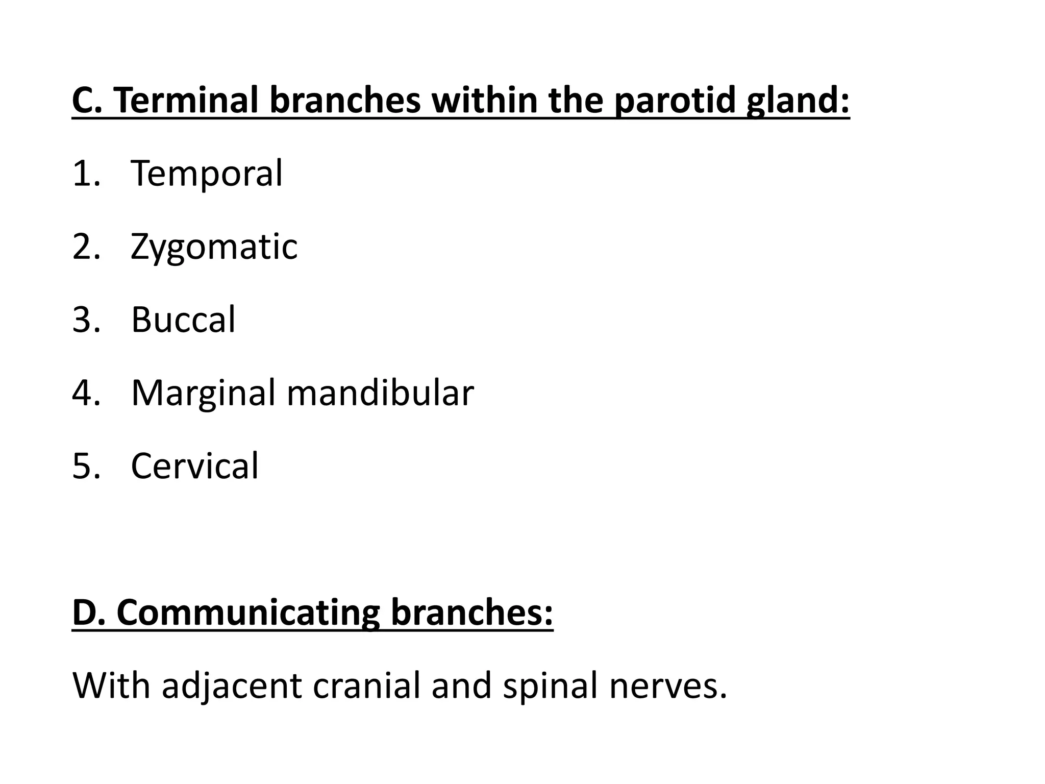 Parotid gland & Facial nerve | PPTX