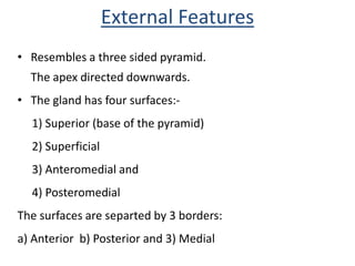 Parotid gland & Facial nerve | PPTX