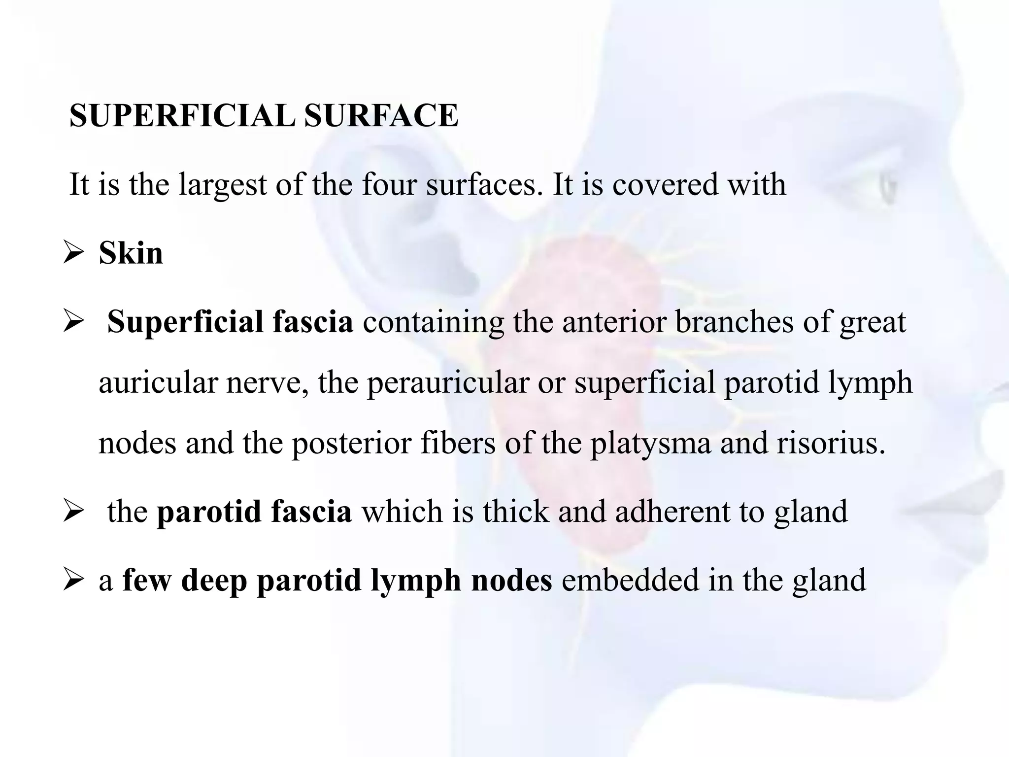 Parotid gland seminar | PPTX