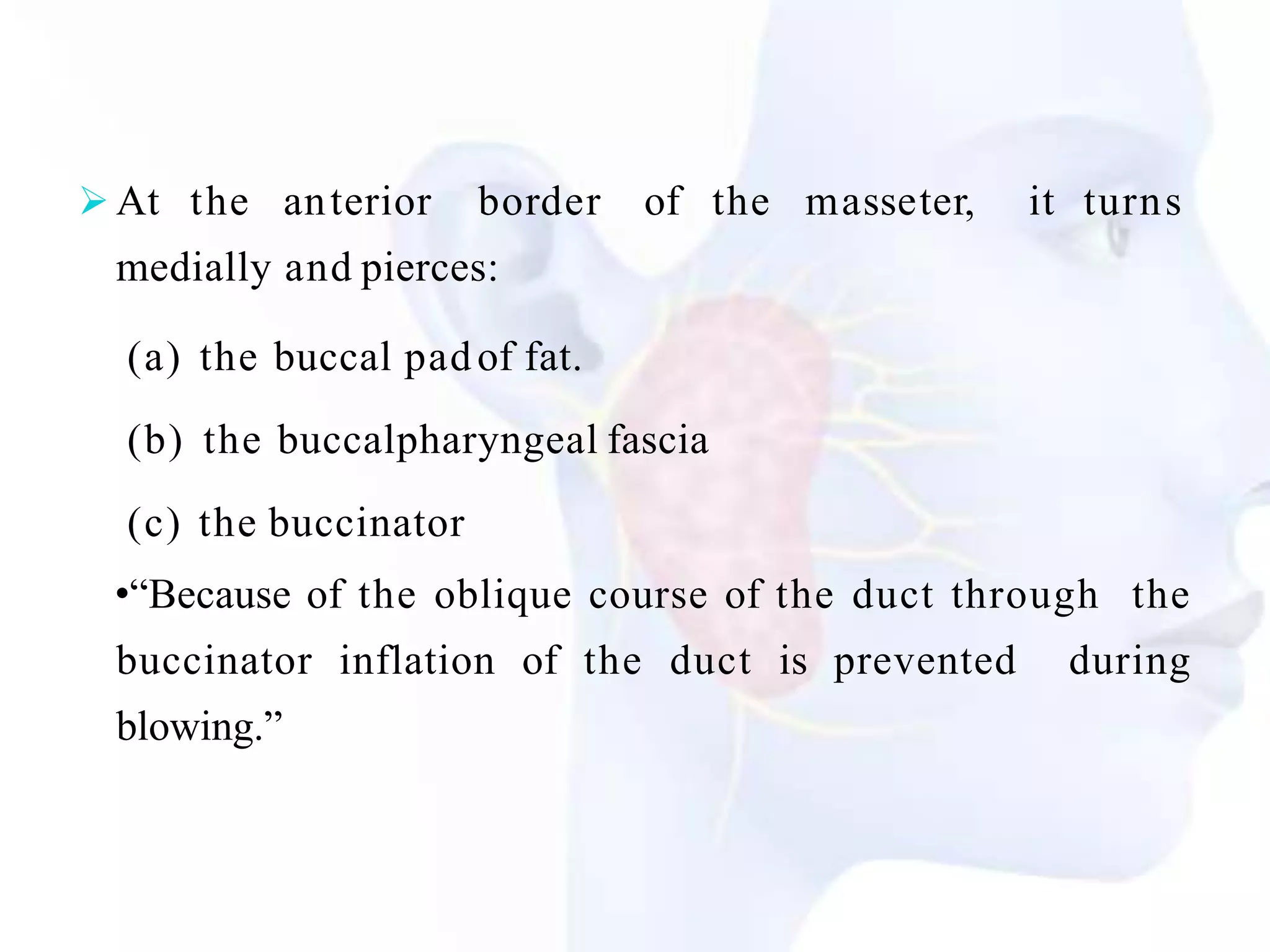 Parotid gland seminar | PPTX