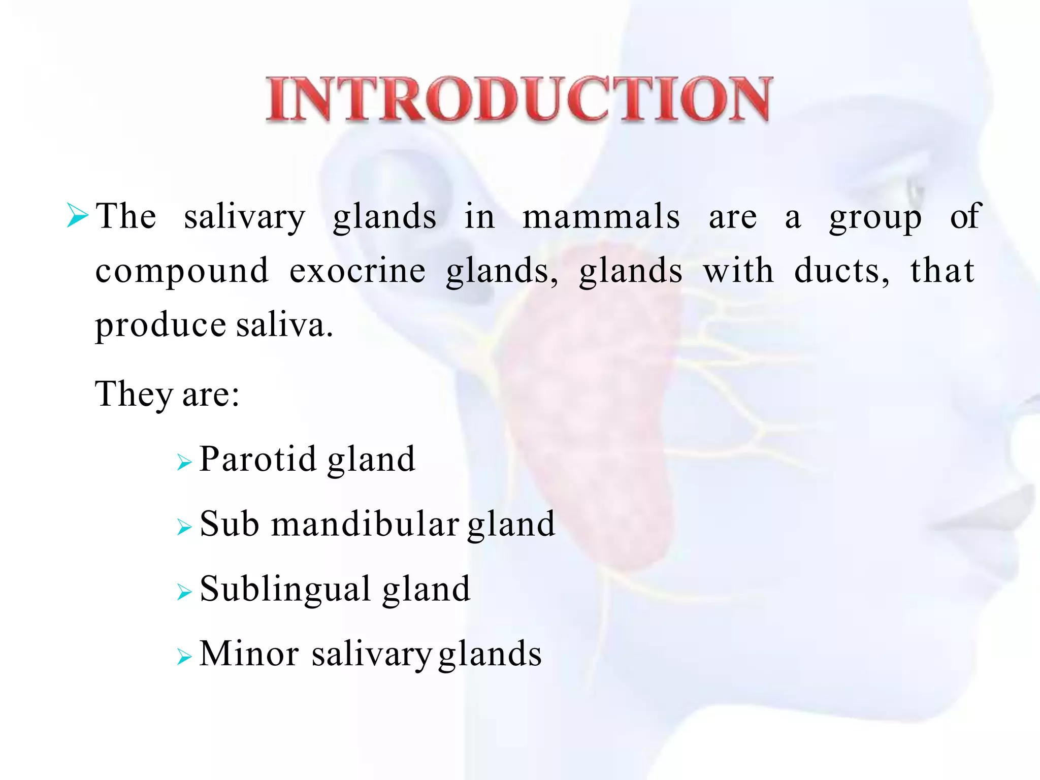 Parotid gland seminar | PPTX
