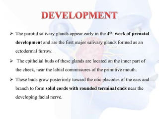 Parotid gland seminar | PPTX