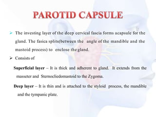Parotid gland seminar | PPTX