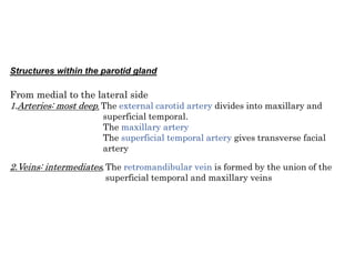 PAROTID GLAND SLIDES.pdf -- SIMMING AND TEAM MATES - M56 | PDF