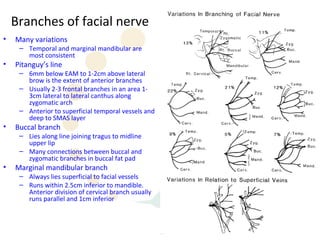 Parotid glandw | PPT