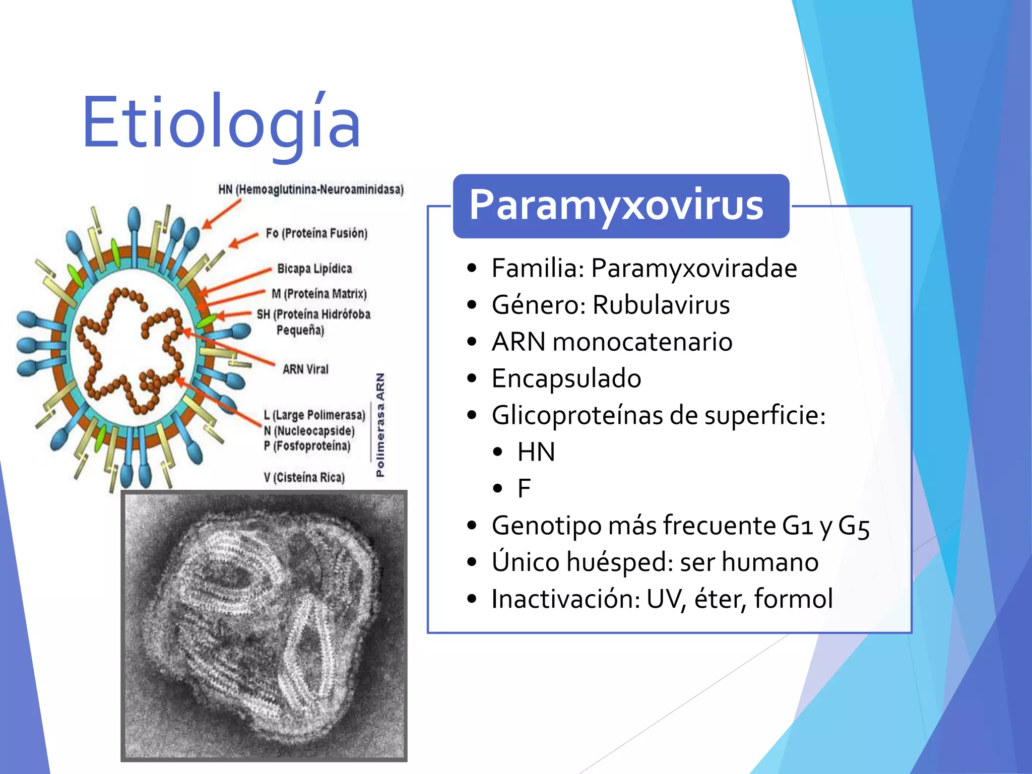 Parotiditis | PPTX