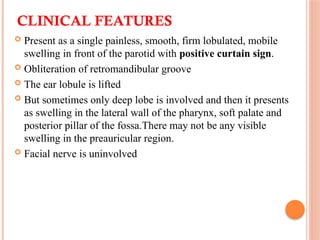 parotid gland anatomy and pleomarphic adenomappt.pptx