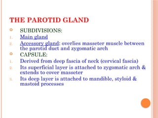 parotid gland anatomy and pleomarphic adenomappt.pptx