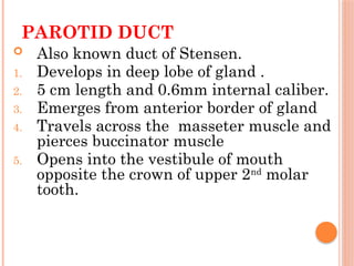 parotid gland anatomy and pleomarphic adenomappt.pptx