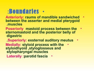 Parotid region | PPT