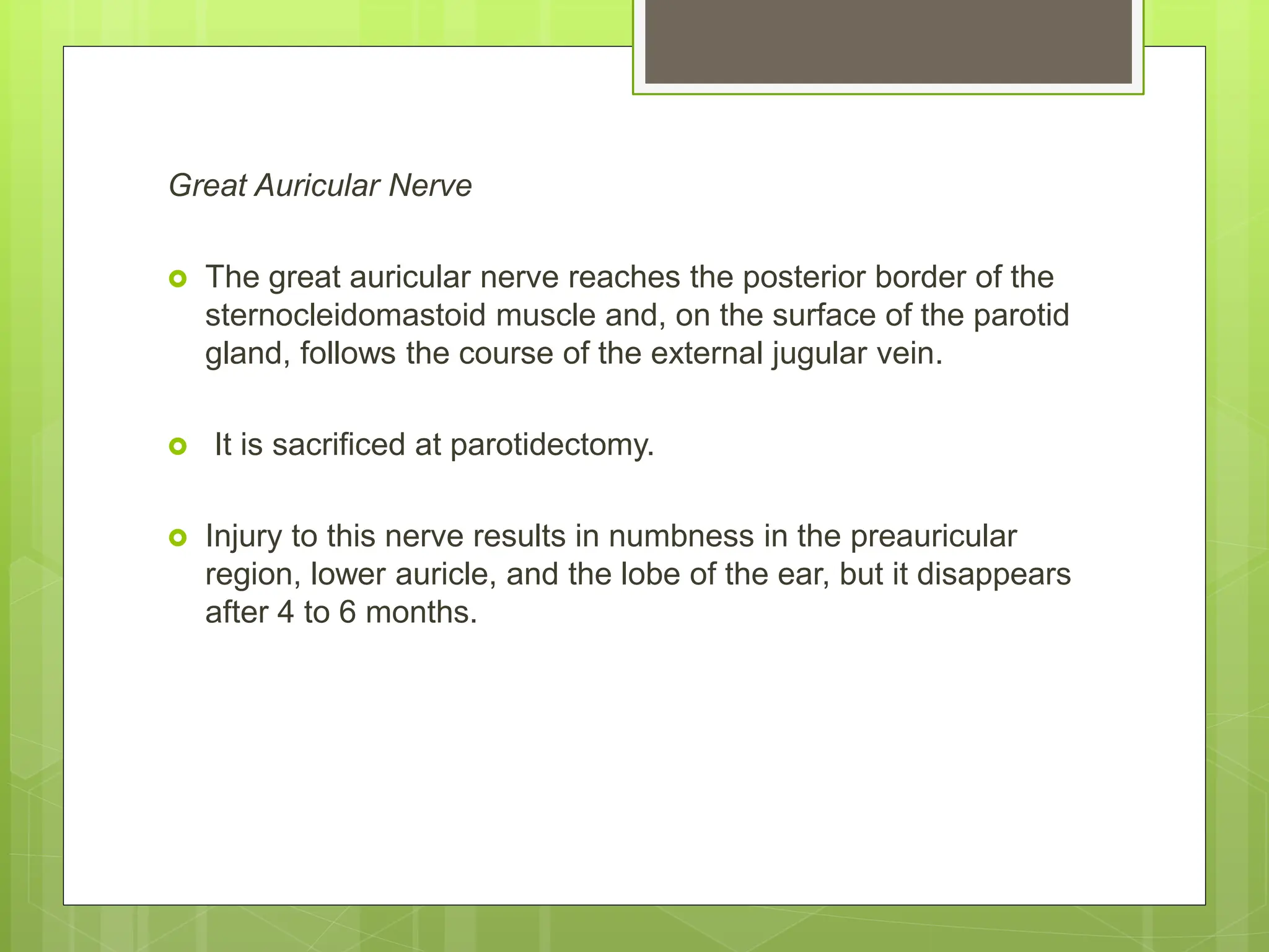 Parotid gland anatomy and applied aspects .pptx